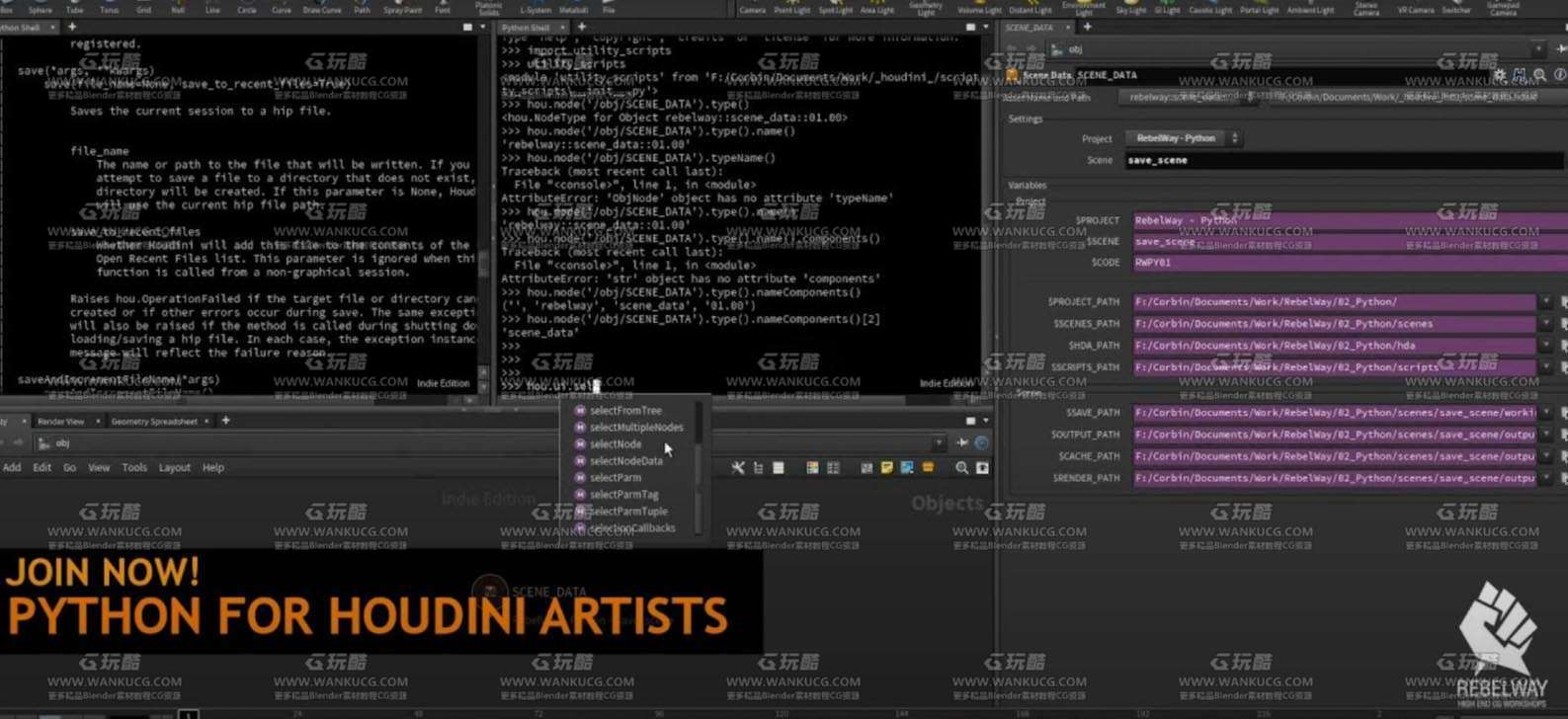 Rebelway Houdini Python编码的终极指南培训课程 – 玩酷CG
